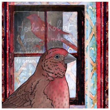 Storybird - Artful Storytelling